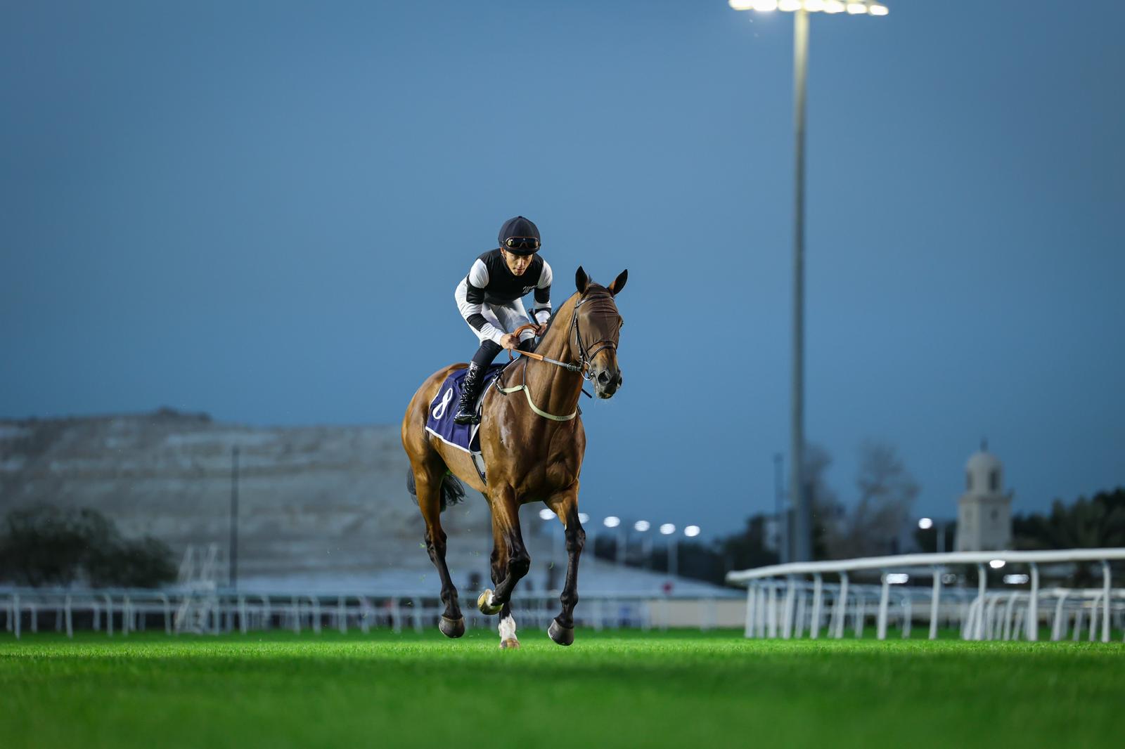The Bahrain Turf Club